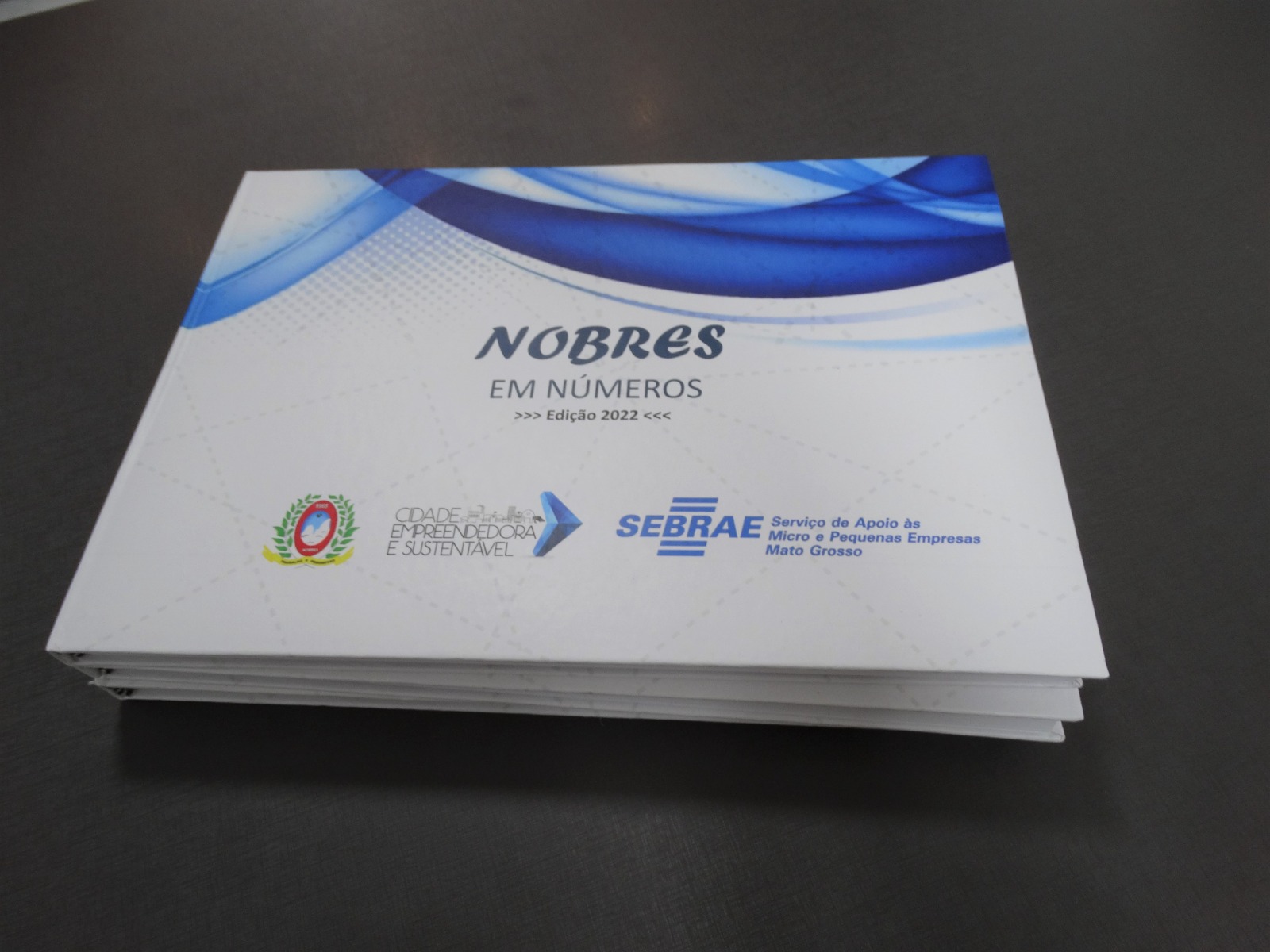 Sebrae-MT apresenta dados sócioeconômicos sobre município de Nobres ...